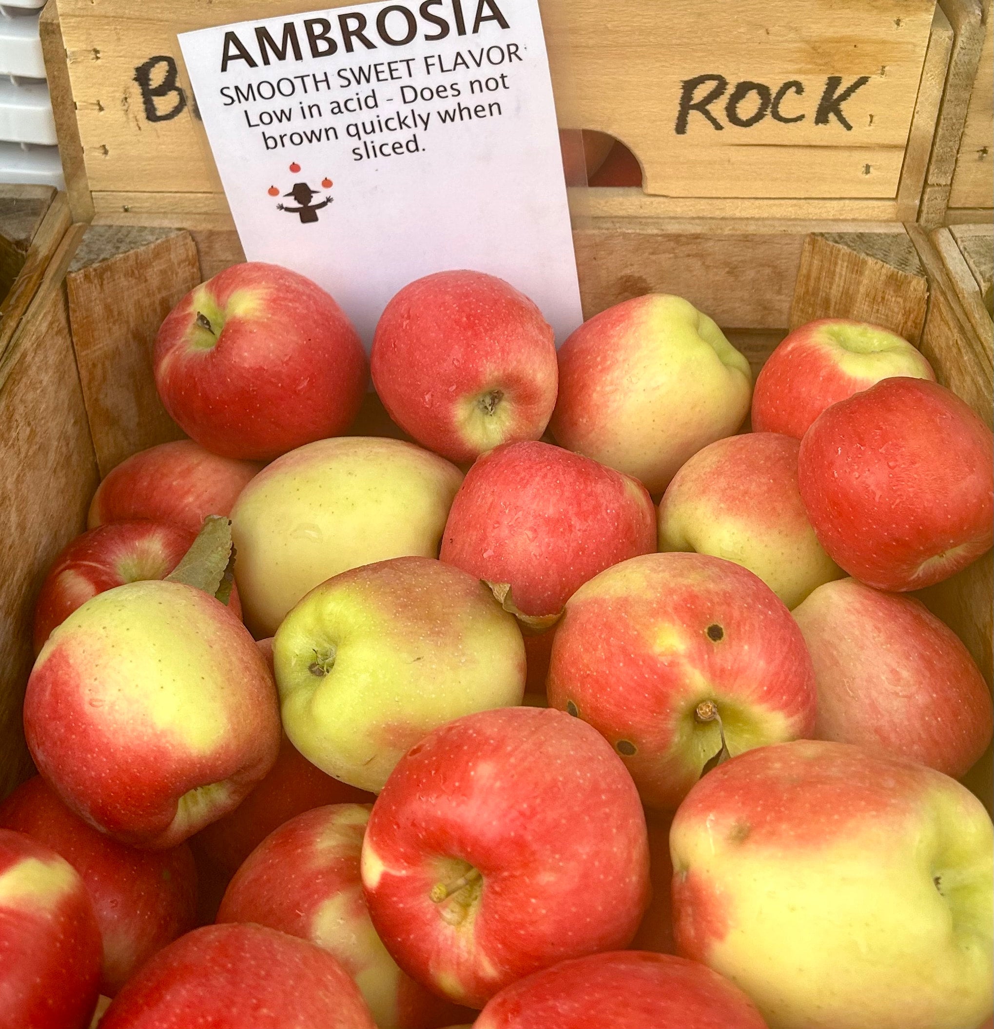 Rubinette, Chef Box | Black Rock Orchard